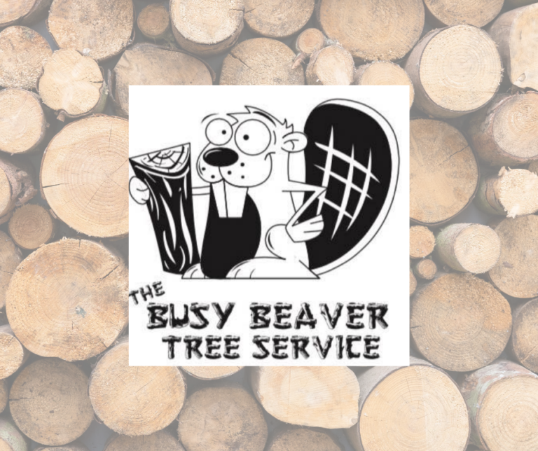 The Busy Beaver Tree Service - Northern Tier Hardwood Association